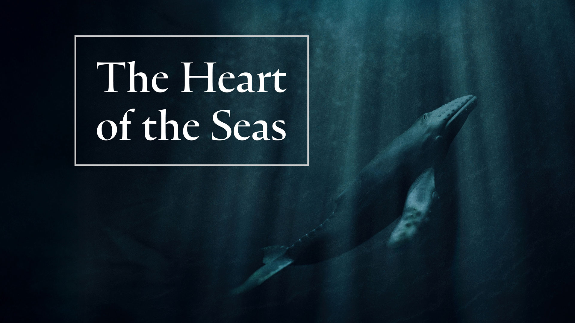 The Heart of the Seas | Pioneer Memorial Church