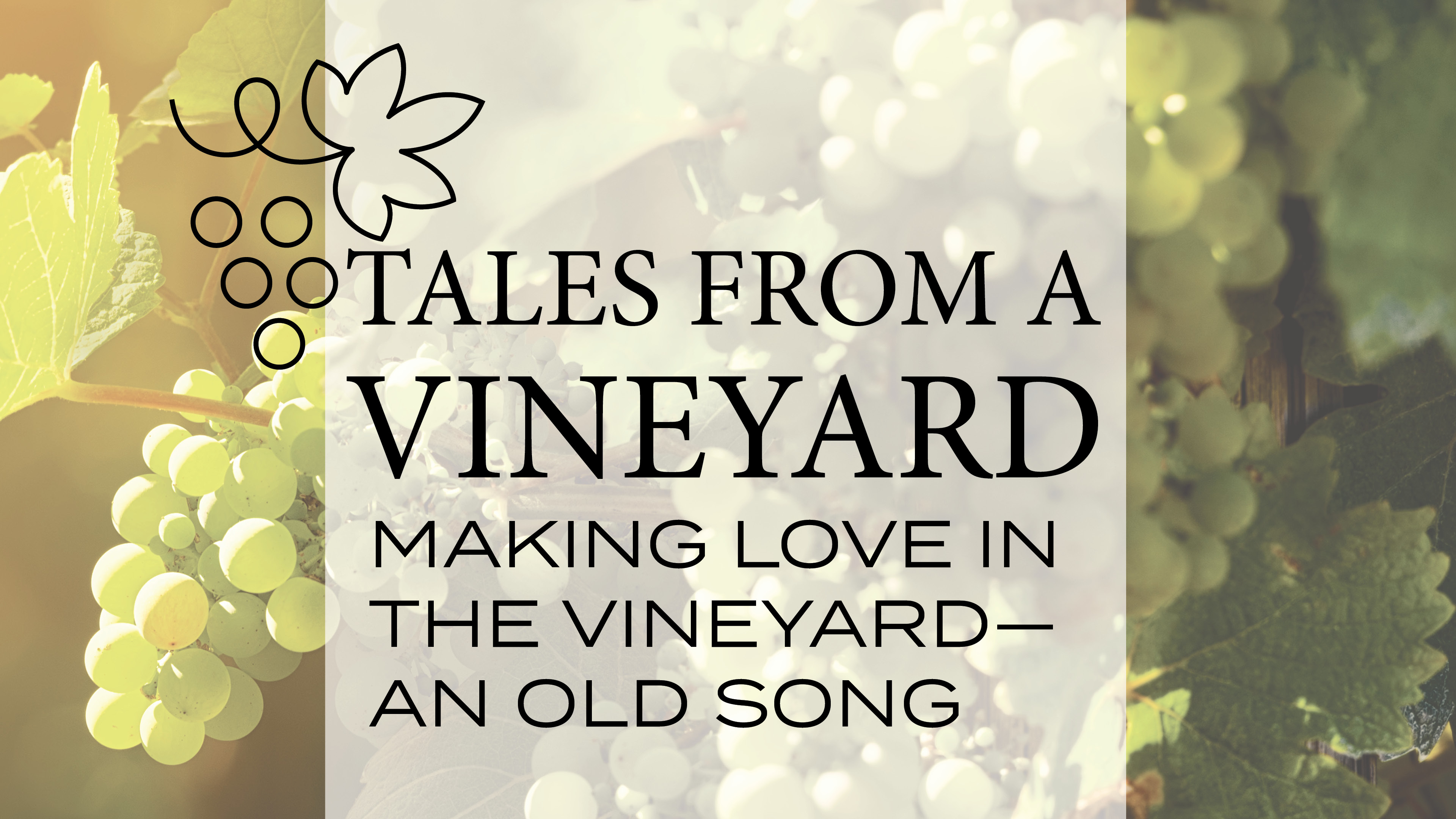 Making Love in the Vineyard-An Old Song | Pioneer Memorial Church
